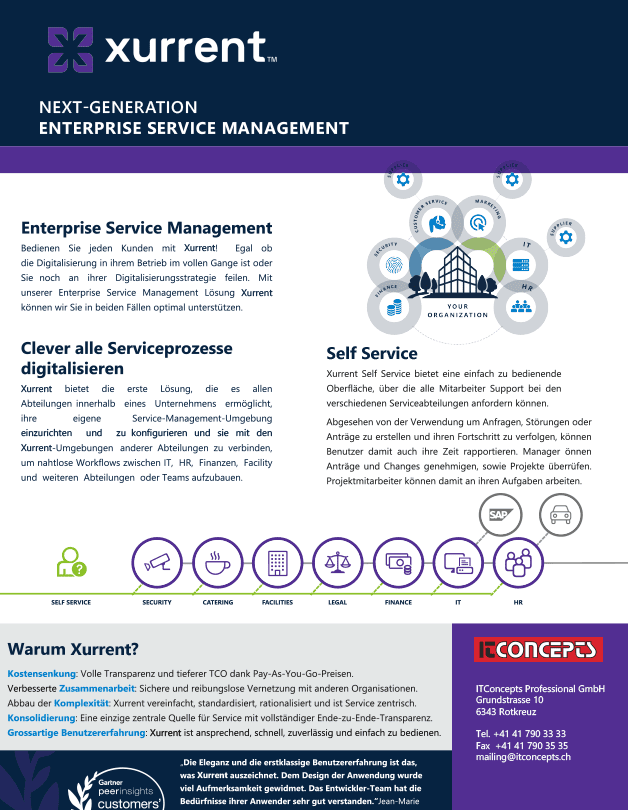 Unterlagen für Profis - IT Concepts